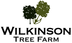 Home - Wilkinson Tree Farm | Tree Farm Iowa, LA